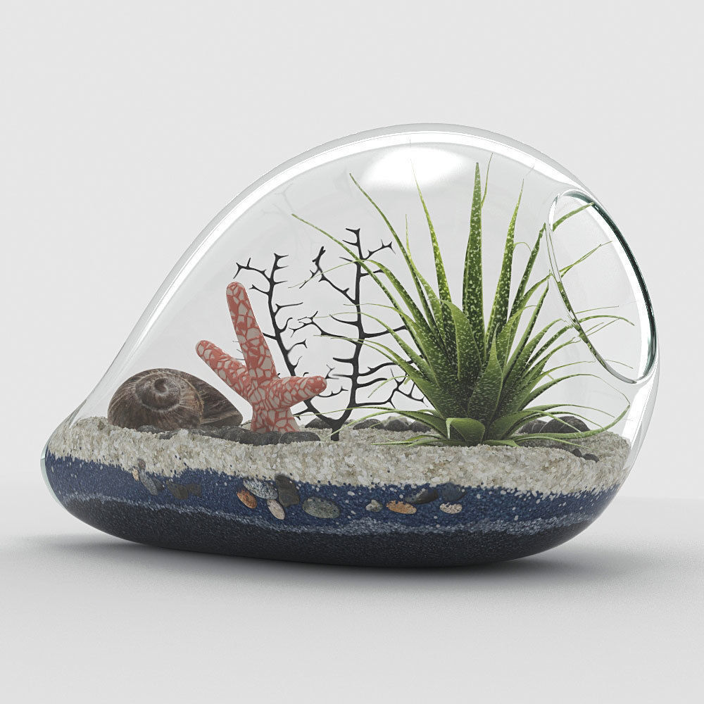 Sea style terrarium 3D model | CGTrader