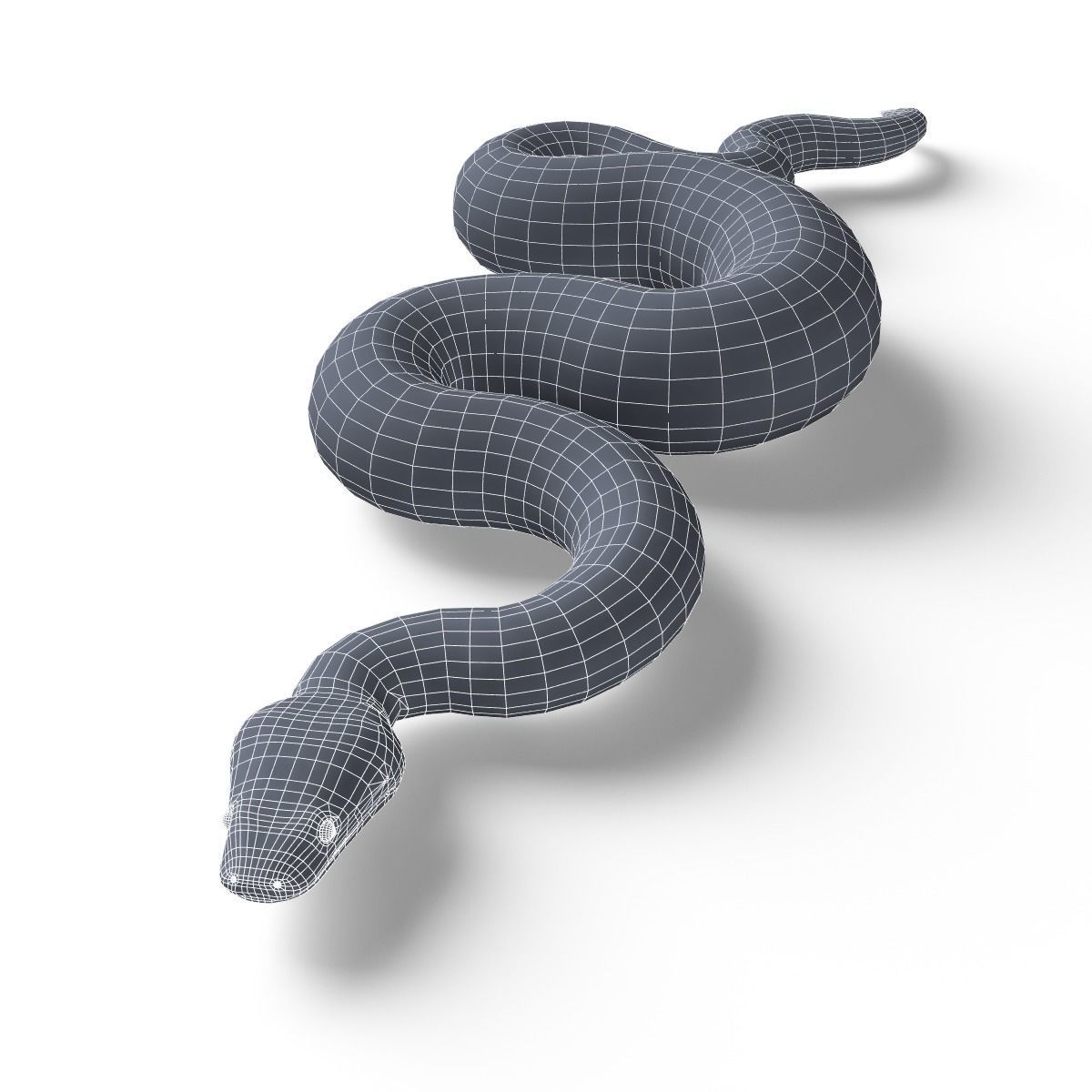 3D model Pythons Vol 1 Rigged VR / AR / low-poly rigged | CGTrader