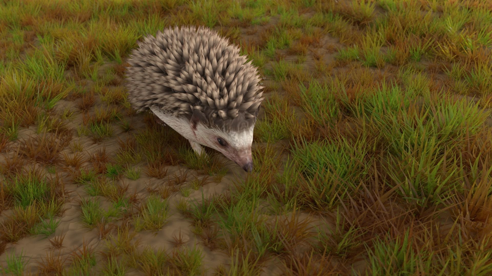 3D model Rigged Hedgehog VR / AR / low-poly rigged animated | CGTrader