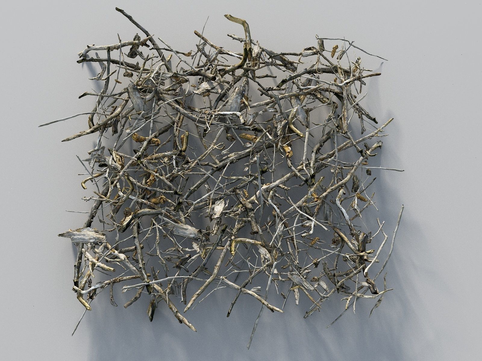 3D model Wood Branch Pack VR / AR / low-poly | CGTrader