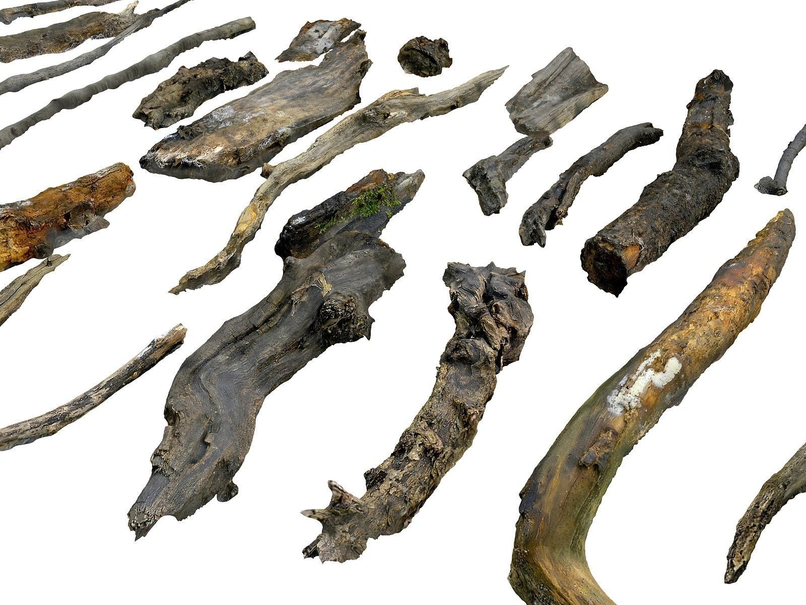 3D model Wood Branch Pack VR / AR / low-poly | CGTrader