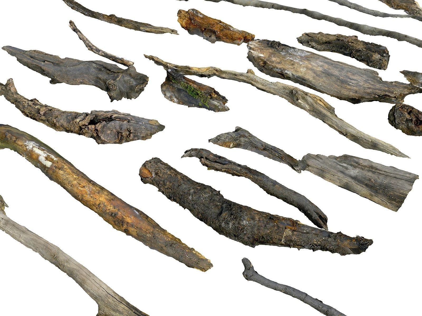 3D model Wood Branch Pack VR / AR / low-poly | CGTrader