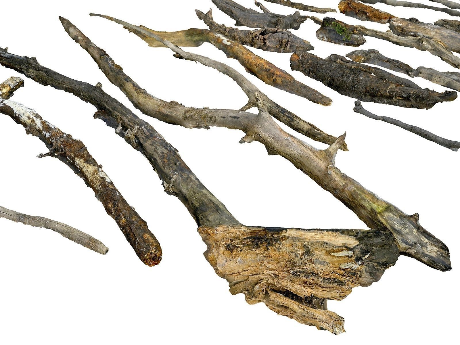 3D model Wood Branch Pack VR / AR / low-poly | CGTrader