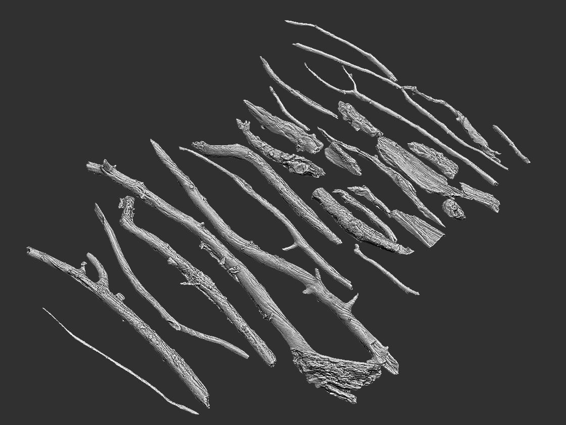 3D model Wood Branch Pack VR / AR / low-poly | CGTrader