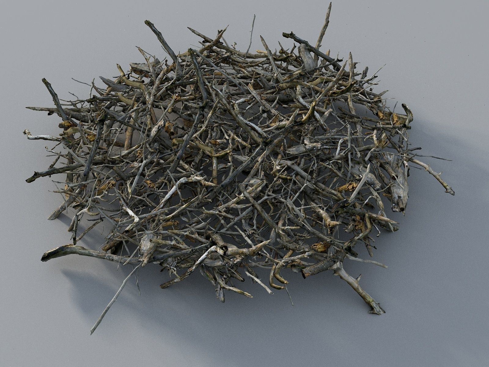 3D model Wood Branch Pack VR / AR / low-poly | CGTrader