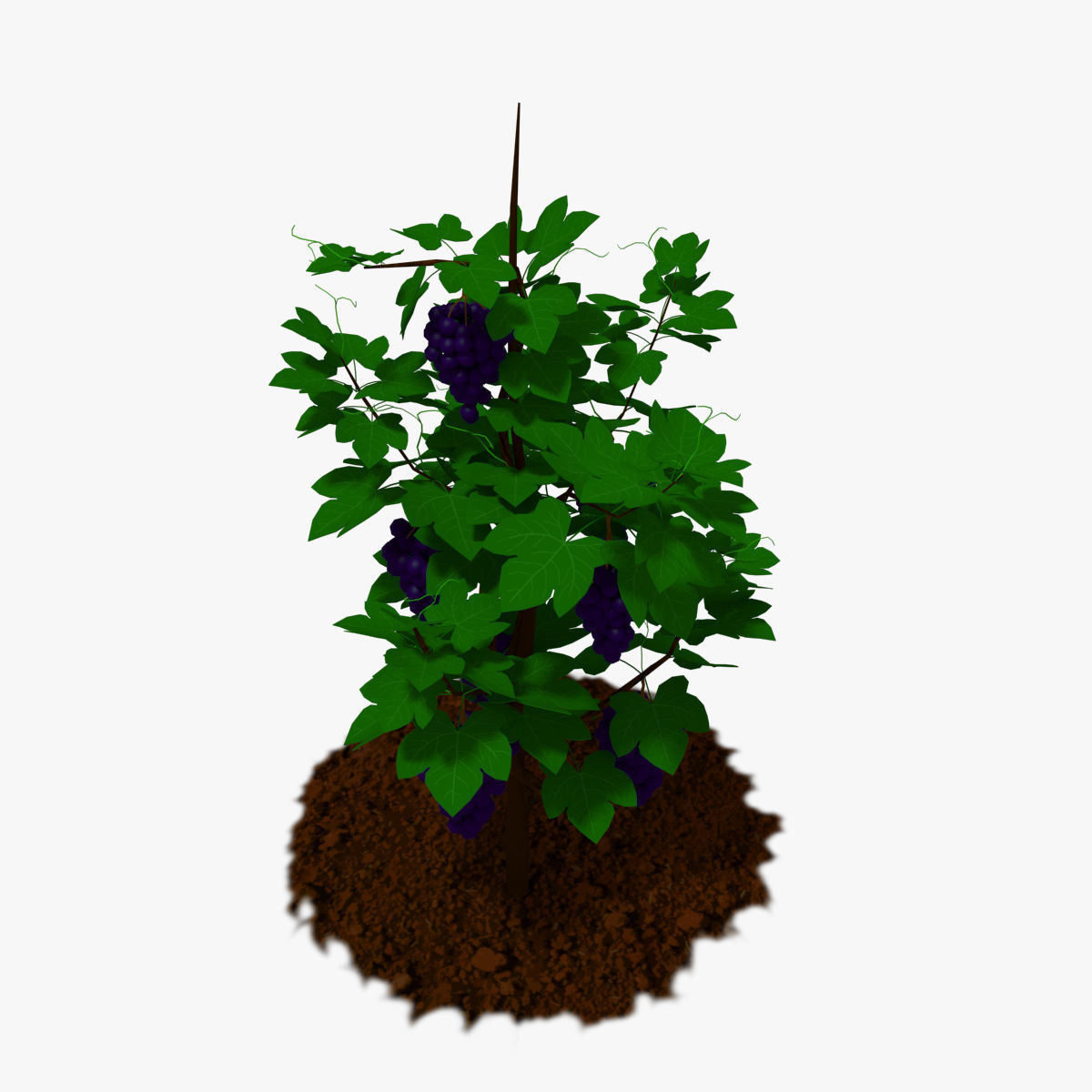 3D model Cartoon Grape Plant VR / AR / low-poly | CGTrader