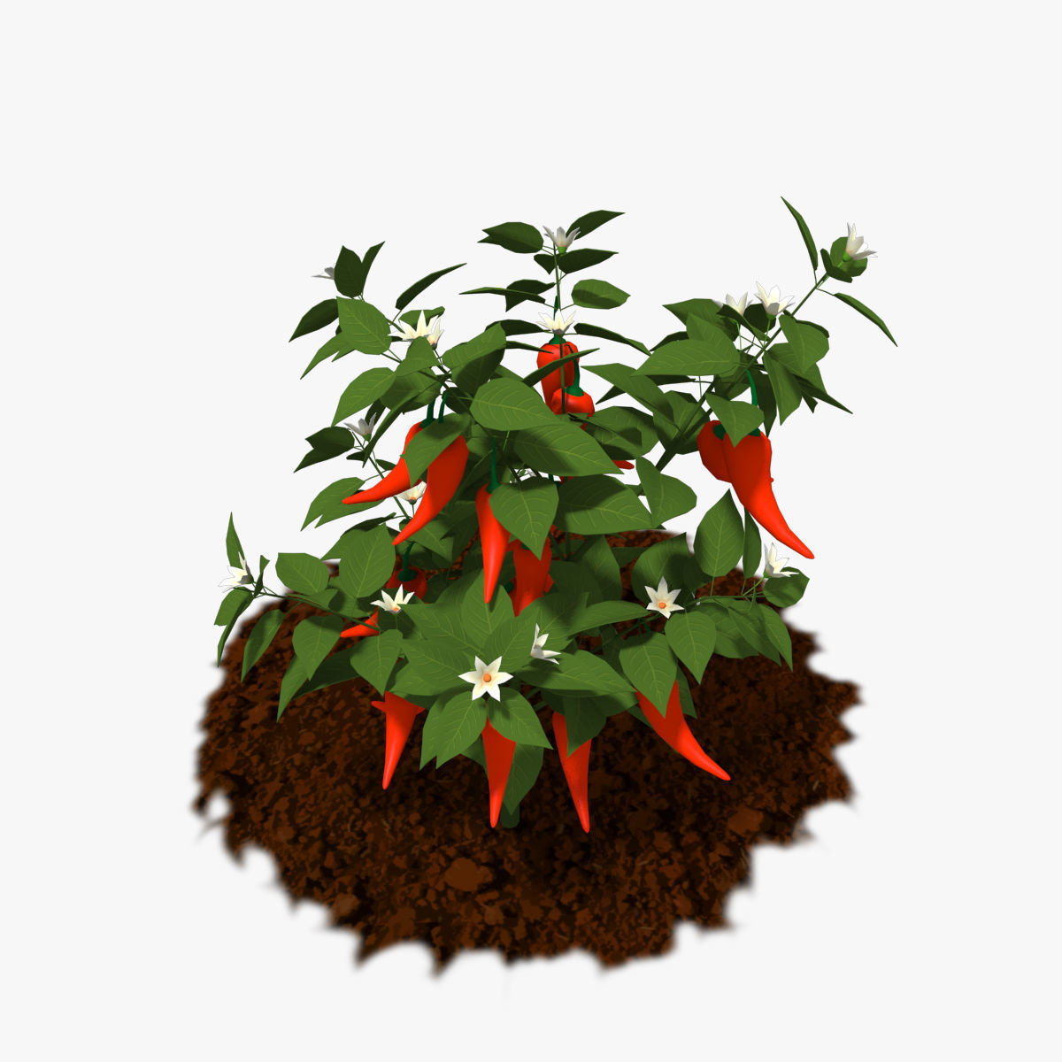 3D model Cartoon Pepper Plant VR / AR / low-poly | CGTrader
