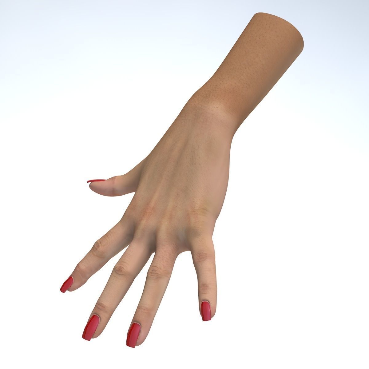 3D model Hand 3d model left female VR / AR / low-poly | CGTrader
