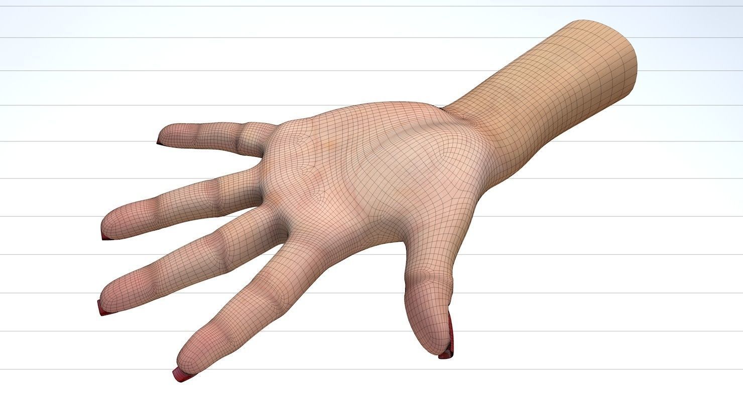 3D model Hand 3d model left female VR / AR / low-poly | CGTrader