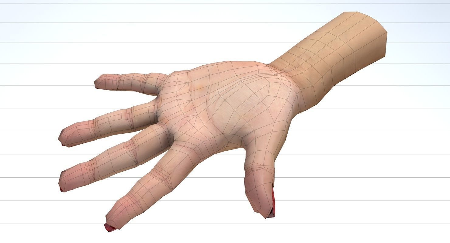 3D model Hand 3d model left female VR / AR / low-poly | CGTrader