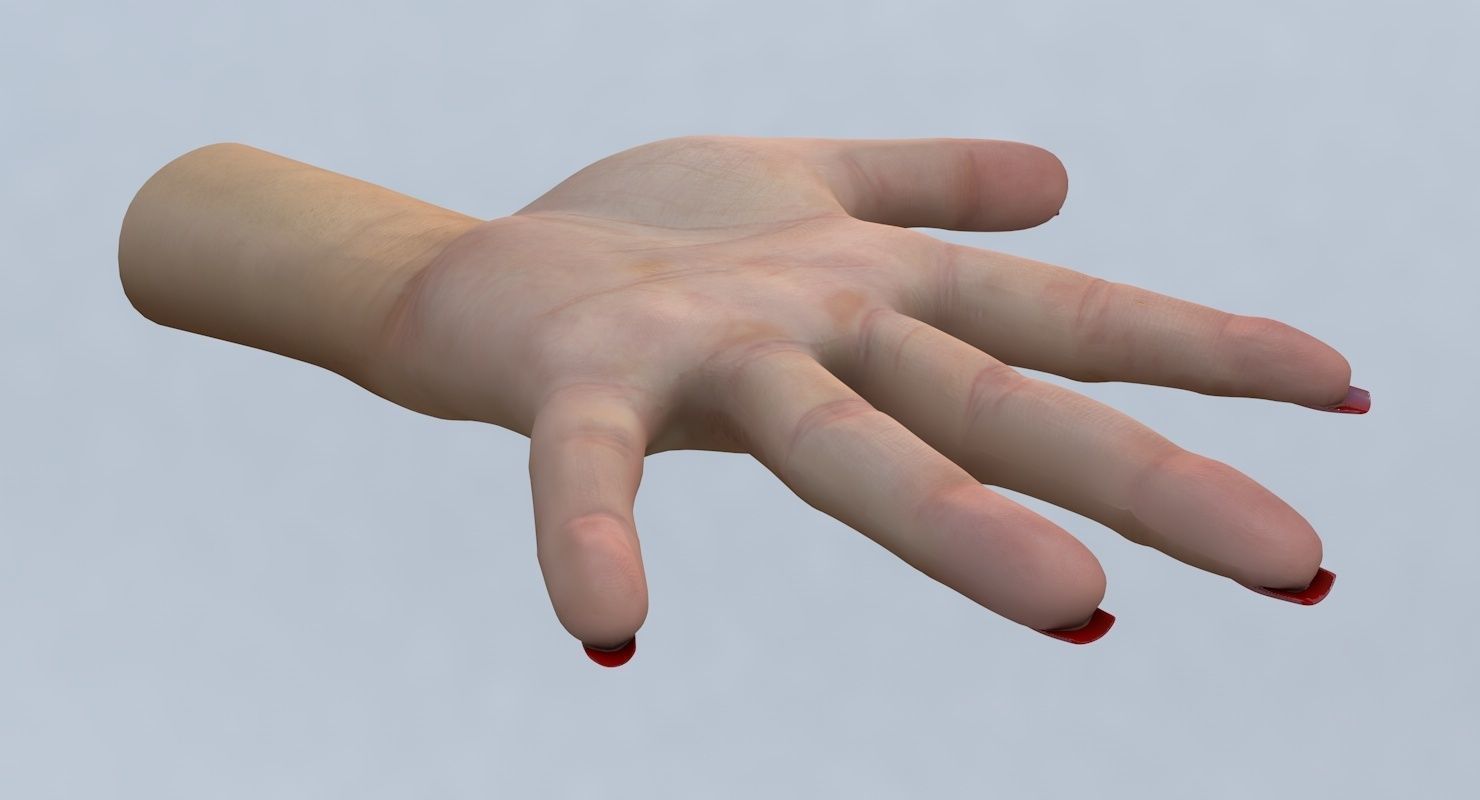 3D model Hand 3d model left female VR / AR / low-poly | CGTrader
