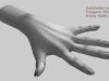 3D model Hand 3d model left female VR / AR / low-poly | CGTrader