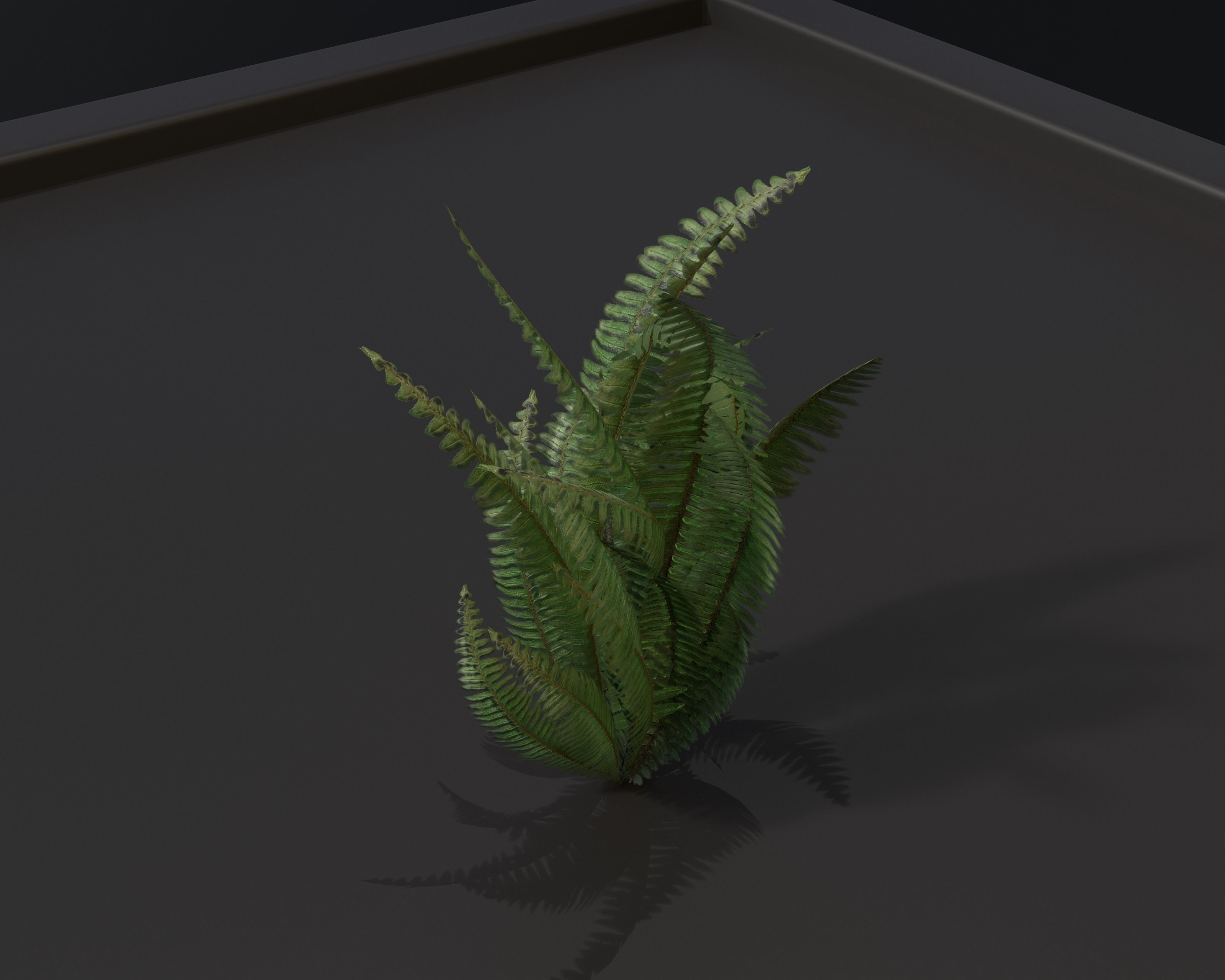 3D model Nature Assets - Foliage Package VR / AR / low-poly | CGTrader