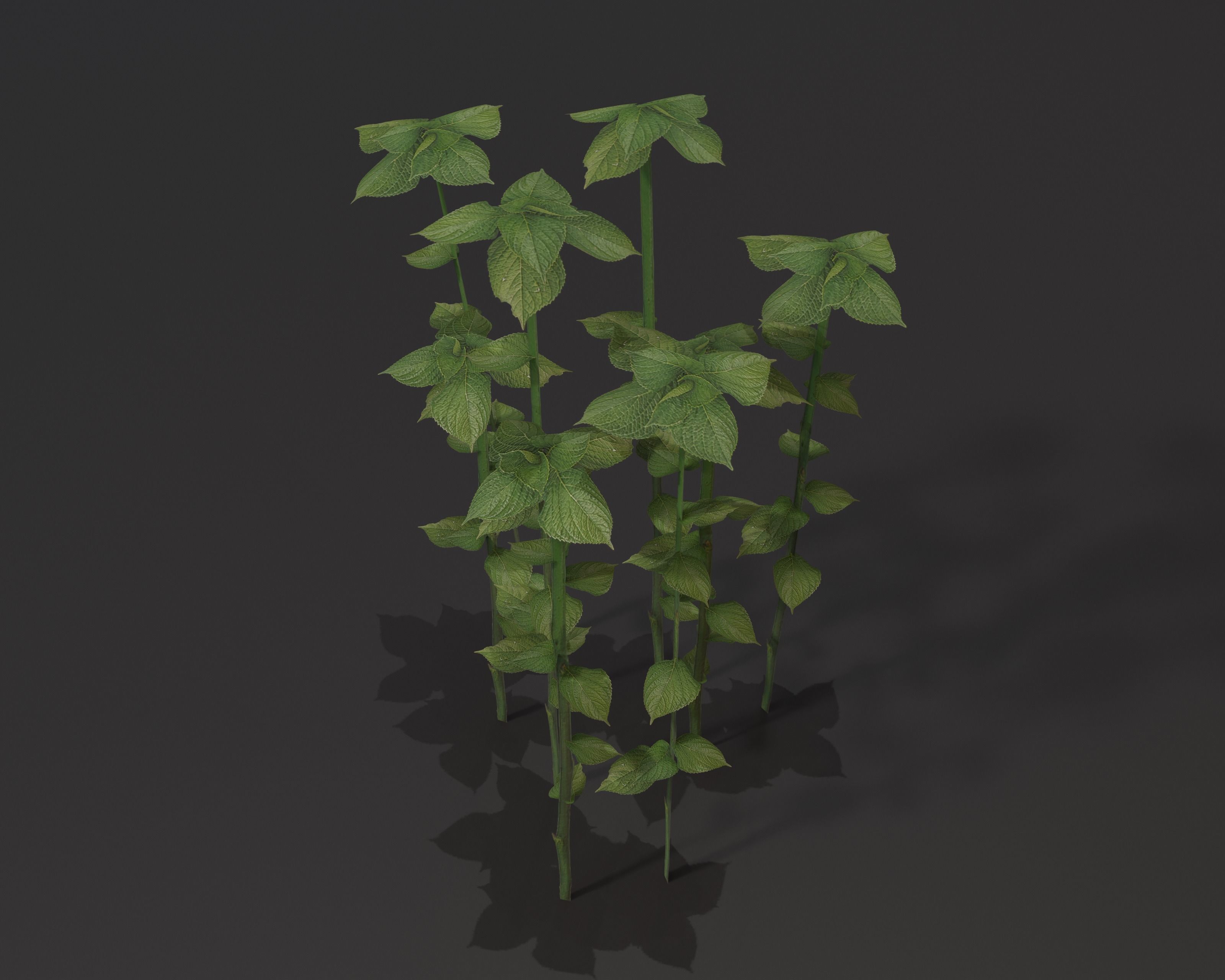 3D model Nature Assets - Foliage Package VR / AR / low-poly | CGTrader