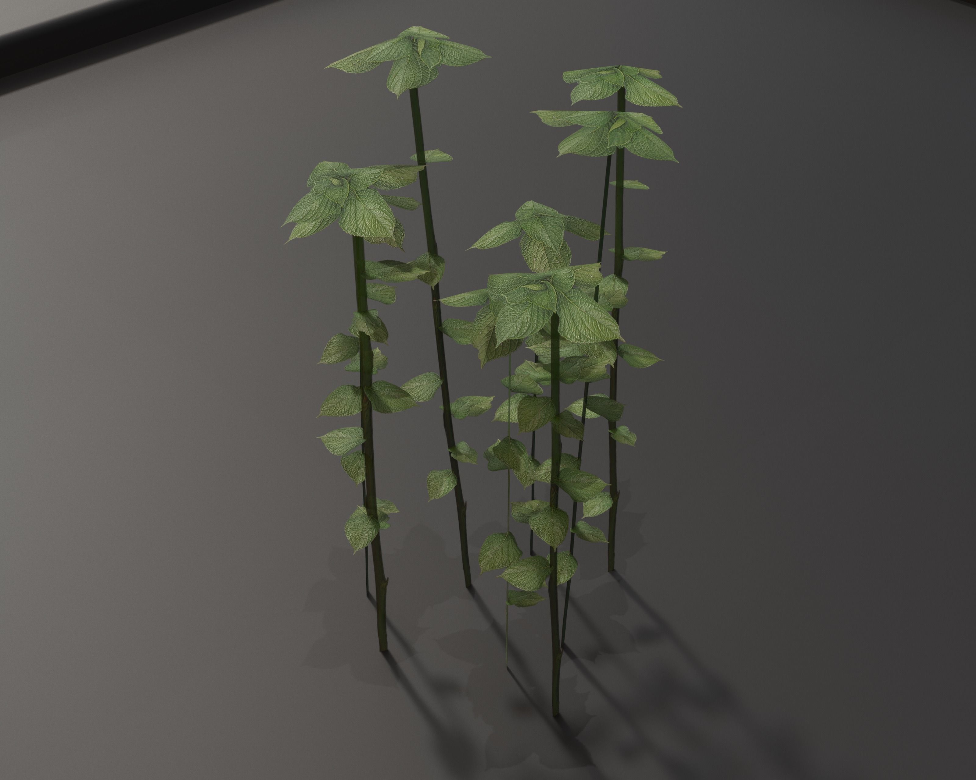 3D model Nature Assets - Foliage Package VR / AR / low-poly | CGTrader
