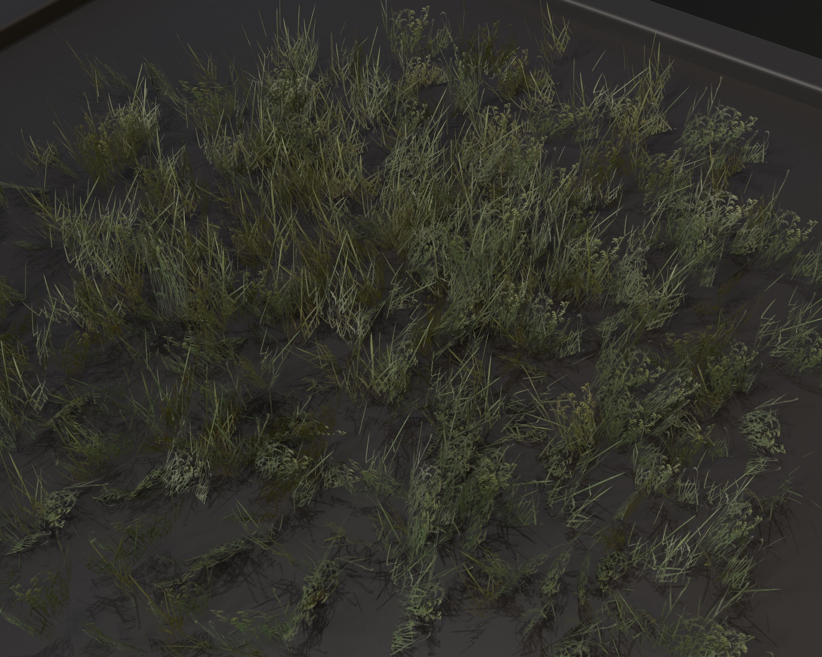 3D model Nature Assets - Foliage Package VR / AR / low-poly | CGTrader