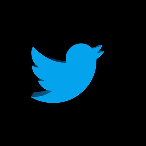 Twitter Logo 3D model | CGTrader