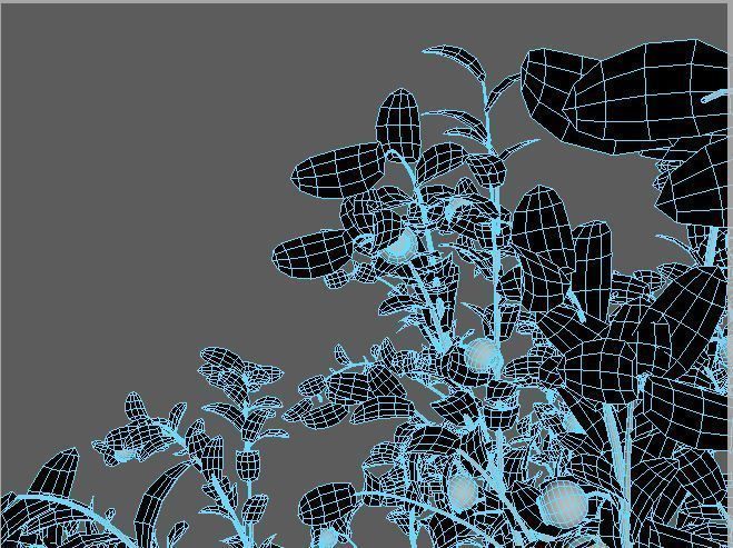 Blueberry Bushes 3D model | CGTrader