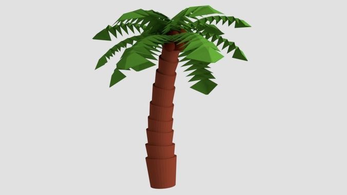 Low Poly Coconut Tree free VR / AR / low-poly 3D model | CGTrader