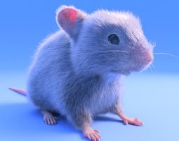 Rigged Mouse 3D Models | CGTrader