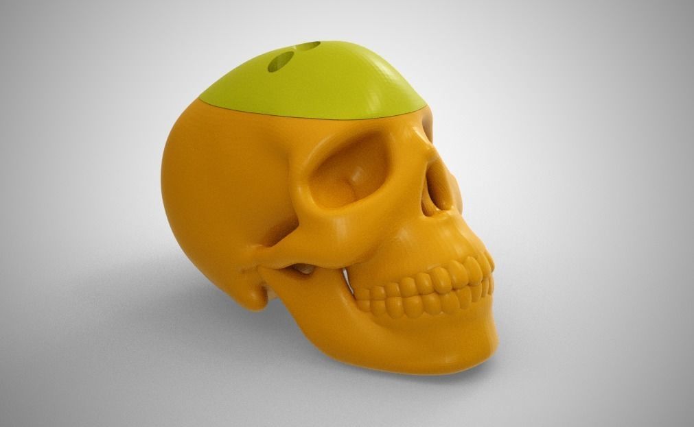 Skull Box 3D model 3D printable | CGTrader