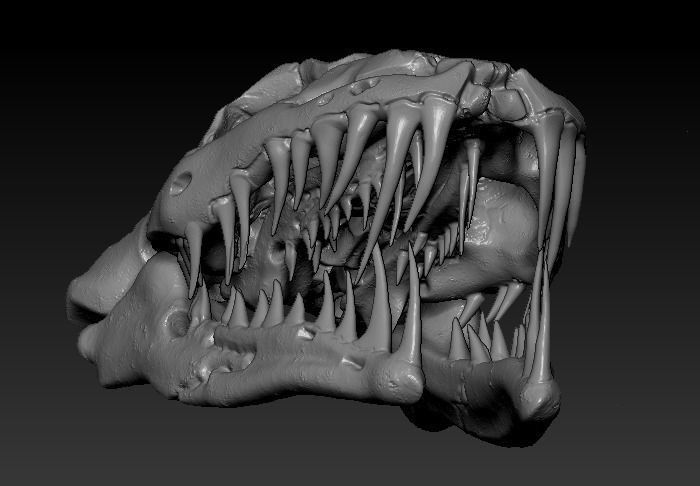 Anaconda Skull 3D model 3D printable | CGTrader