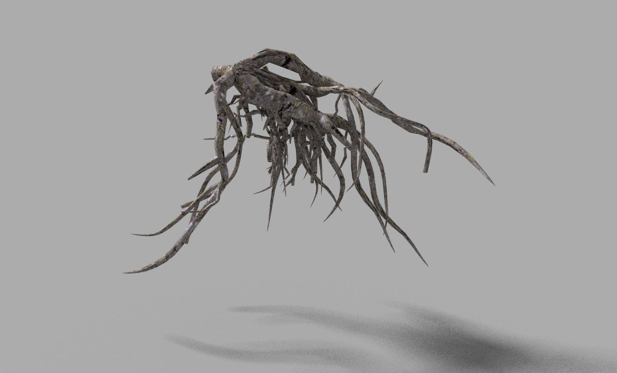 3D model low poly tree root 2 VR / AR / low-poly | CGTrader