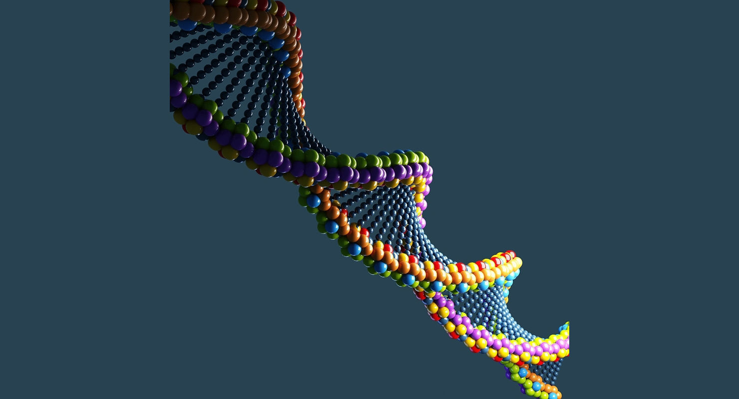 DNA 3D Model colorful strand 3D model | CGTrader