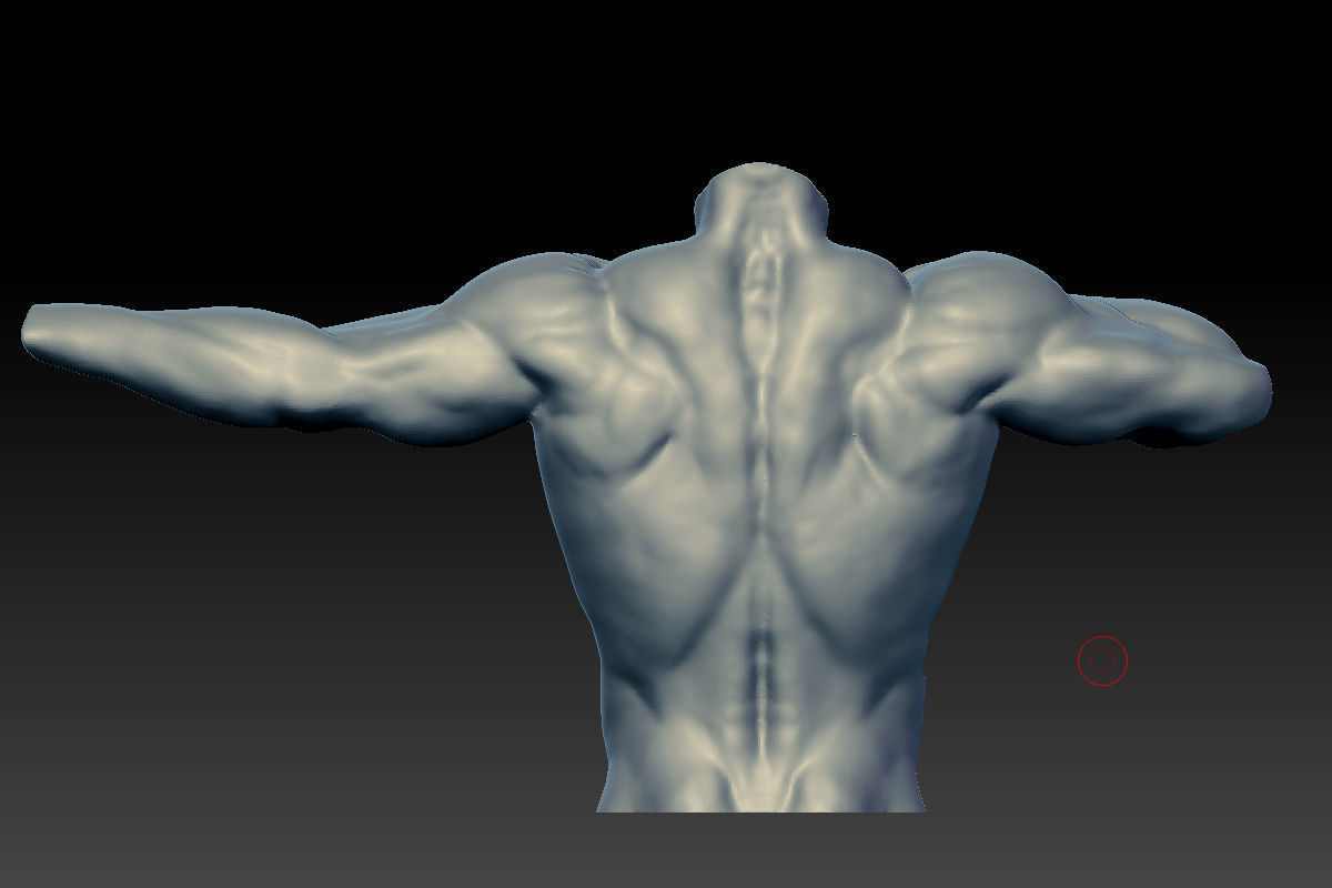 human body pose 4 3D model | CGTrader