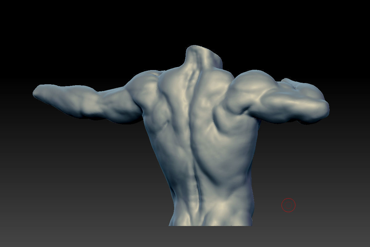 human body pose 4 3D model | CGTrader