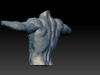 human body pose 4 3D model | CGTrader