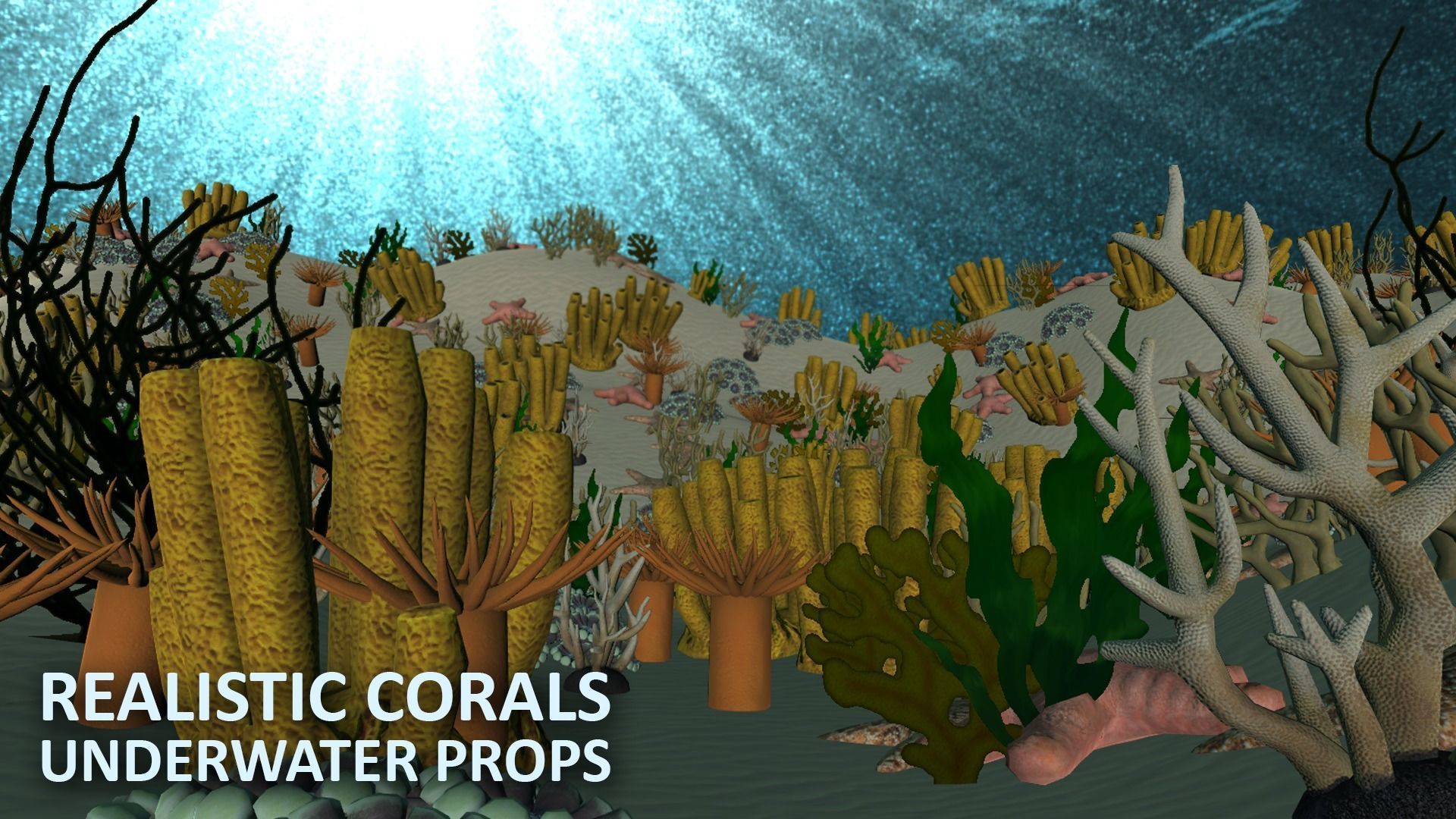 Realistic corals - underwater props 3D model | CGTrader
