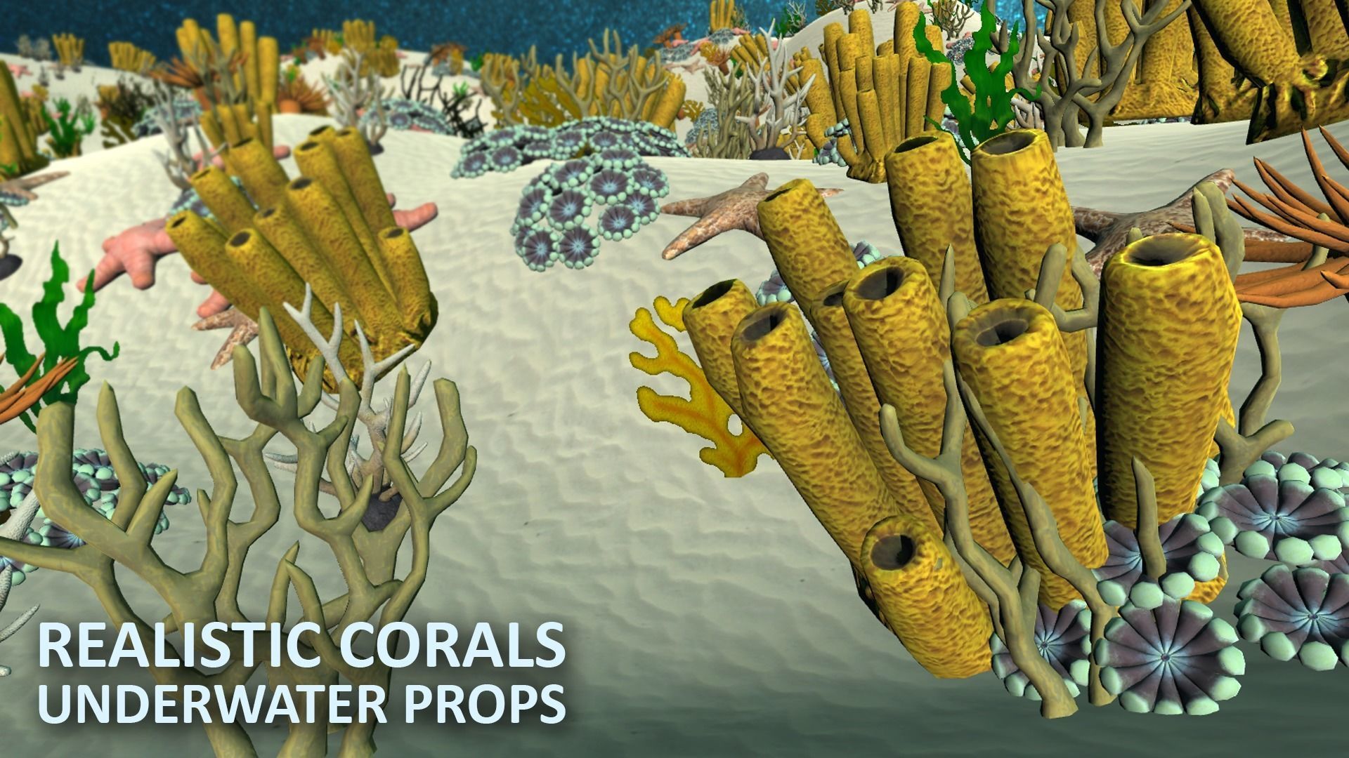 Realistic corals - underwater props 3D model | CGTrader