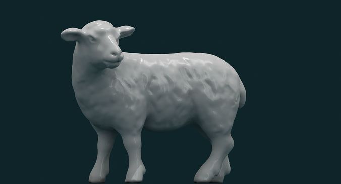 Sheep 3D model | CGTrader
