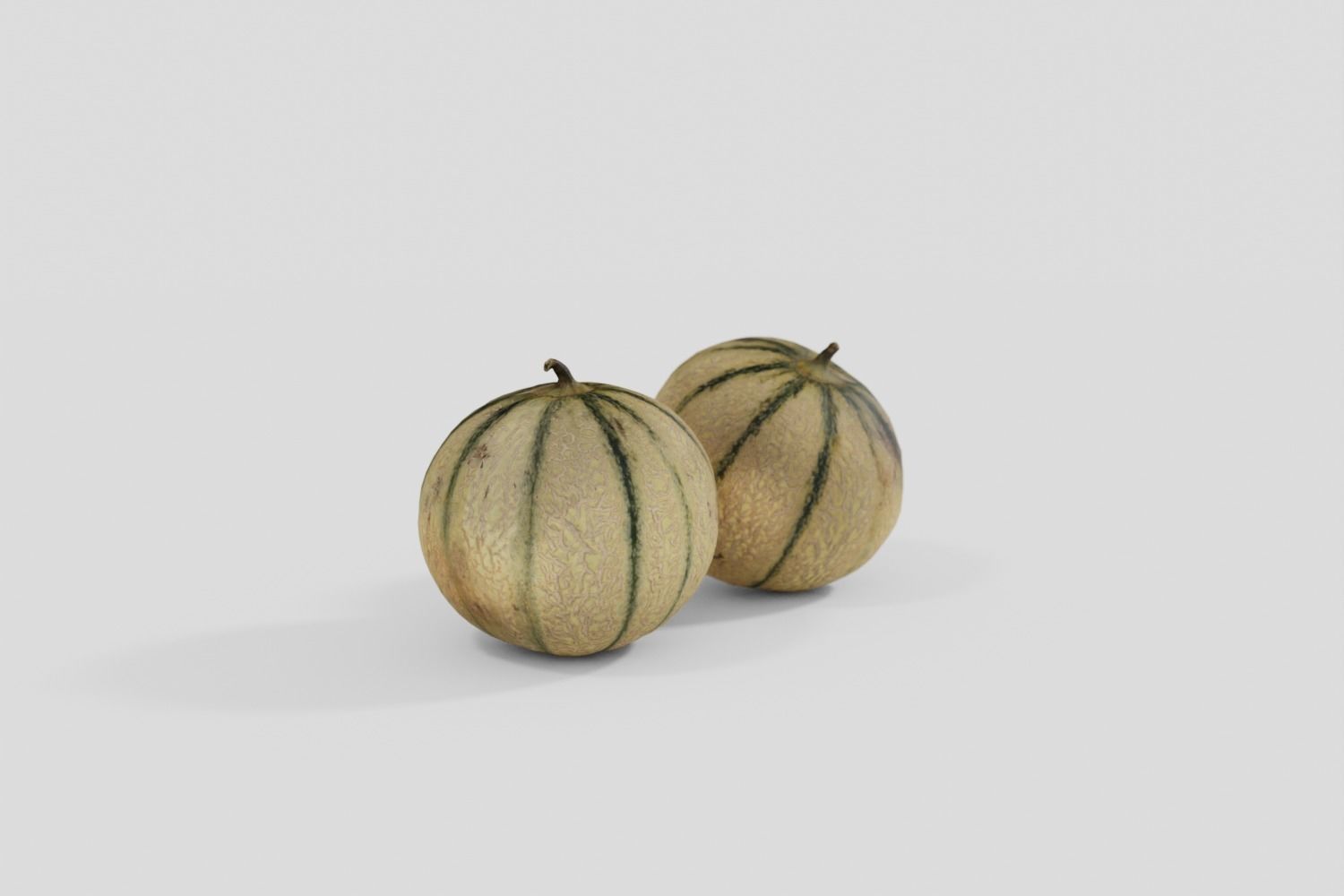 Melon photoscan free VR / AR / low-poly 3D model | CGTrader