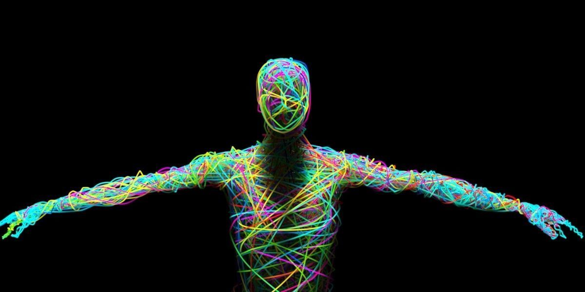 Colorful C4D Body free VR / AR / low-poly 3D model | CGTrader