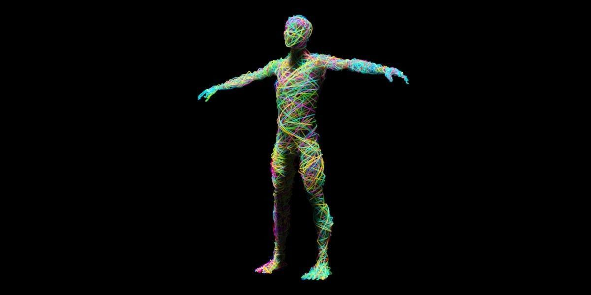 Colorful C4D Body free VR / AR / low-poly 3D model | CGTrader