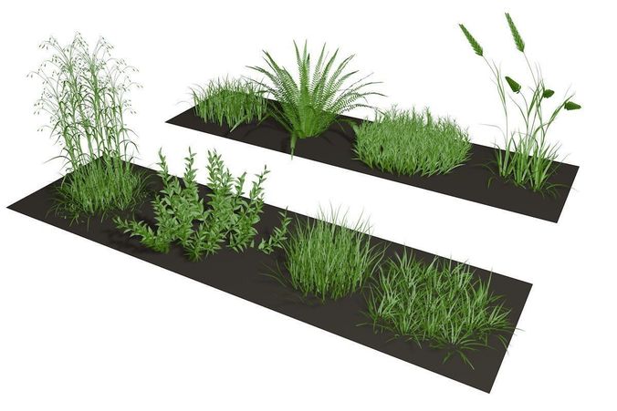 Herbage Various Set 3D model | CGTrader