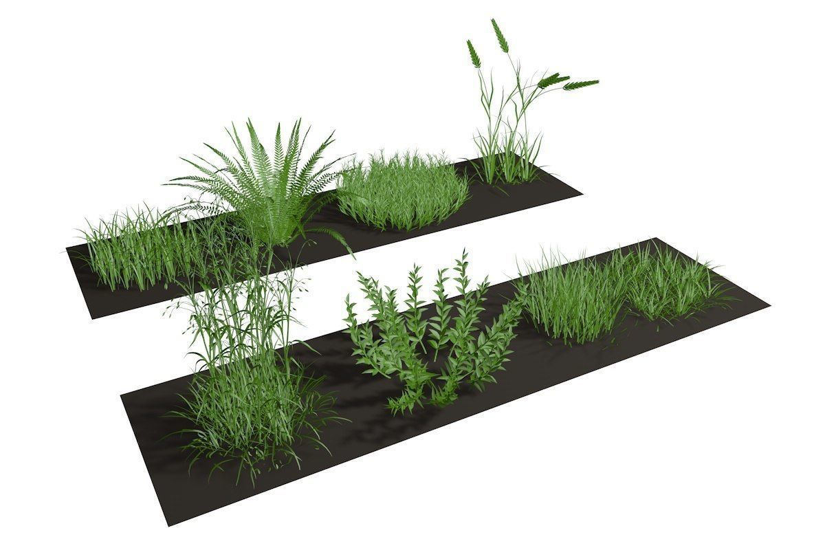 Herbage Various Set 3D model | CGTrader