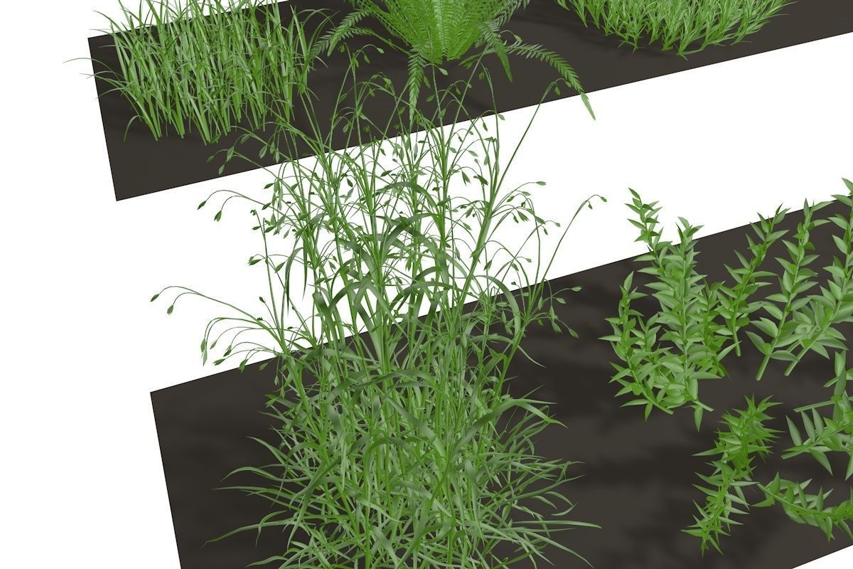 Herbage Various Set 3D model | CGTrader