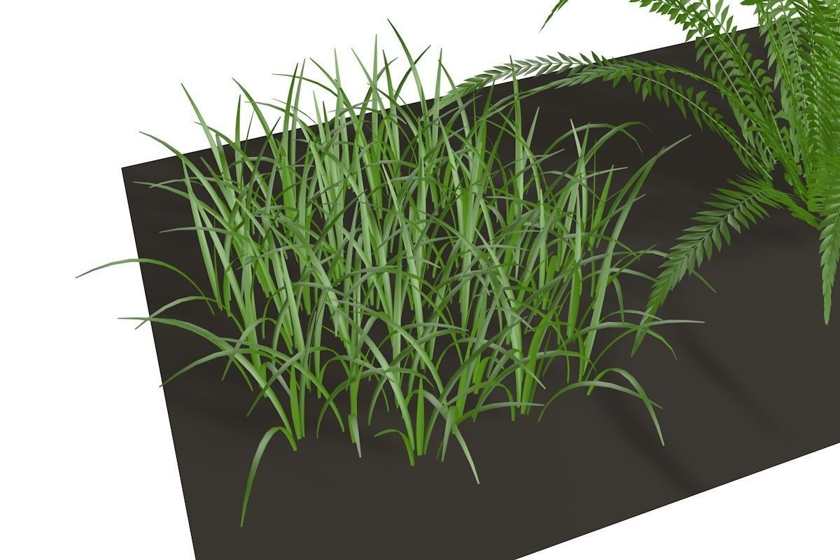 Herbage Various Set 3D model | CGTrader