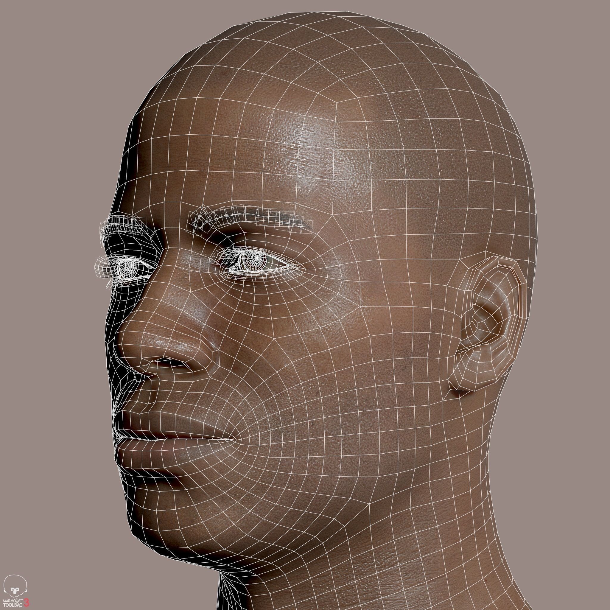 3D model Average Black Male Body VR / AR / low-poly | CGTrader