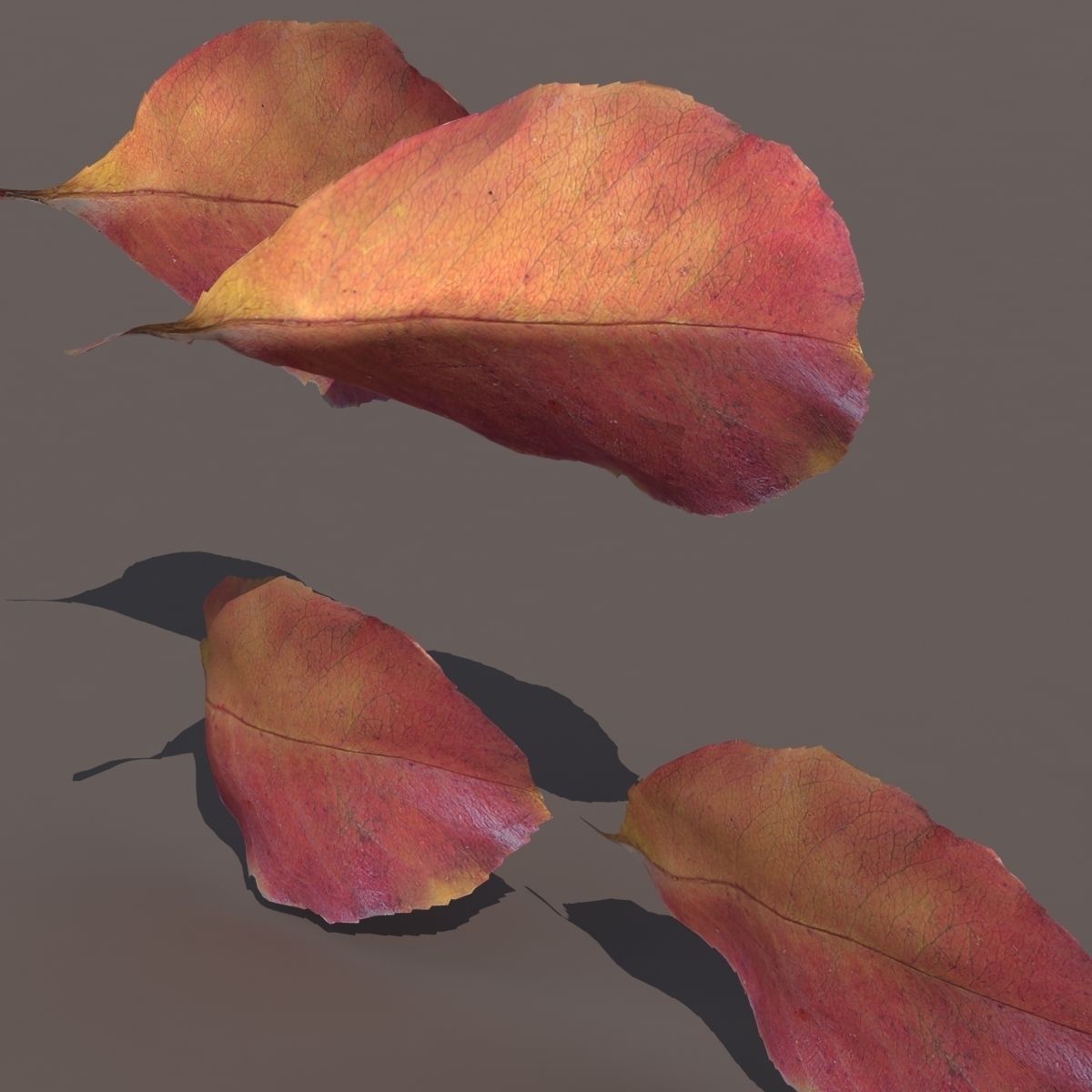 3D model Autumn Fall Leafs PACK Low Poly 3d Model VR / AR / low-poly ...