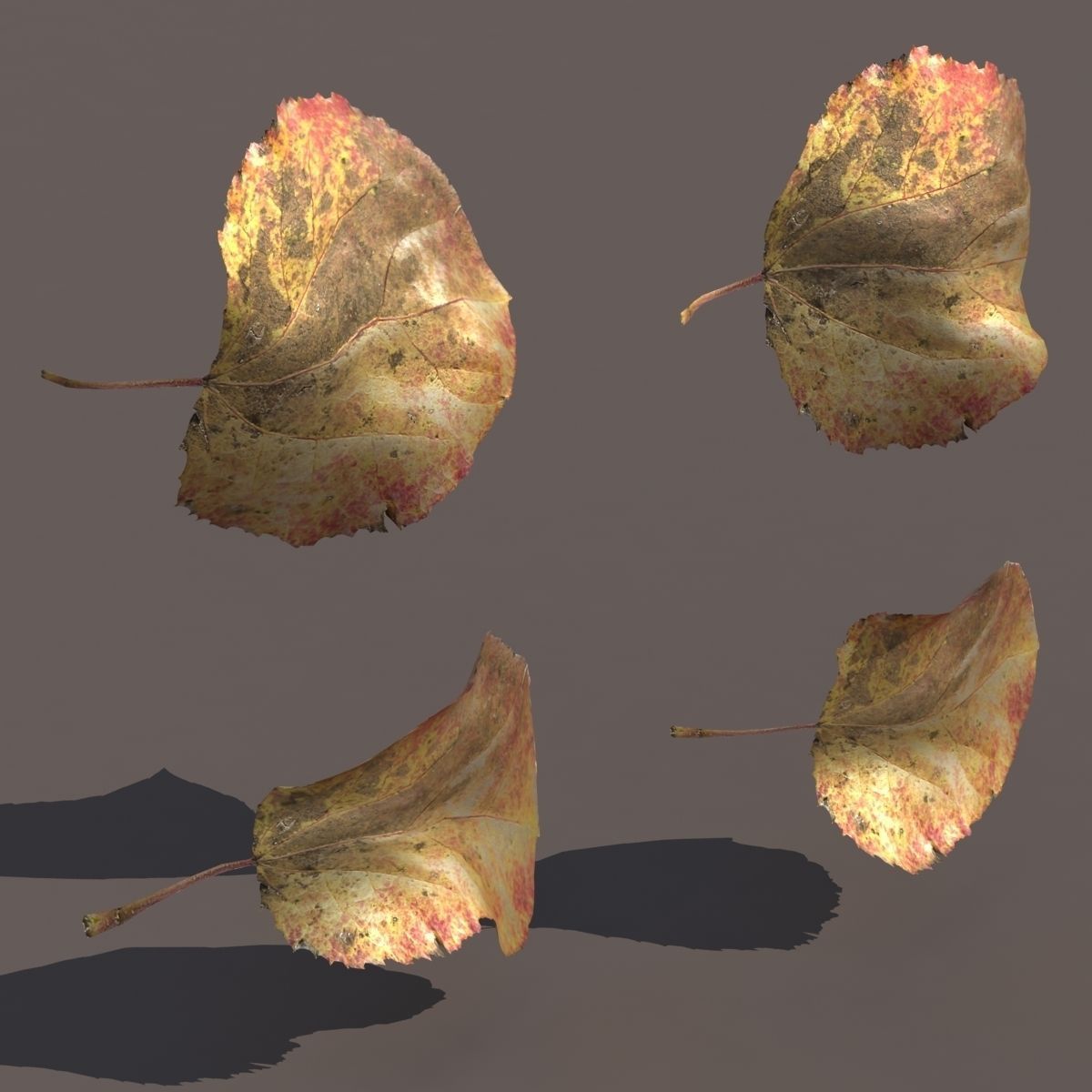 3D model Autumn Fall Leafs PACK Low Poly 3d Model VR / AR / low-poly ...