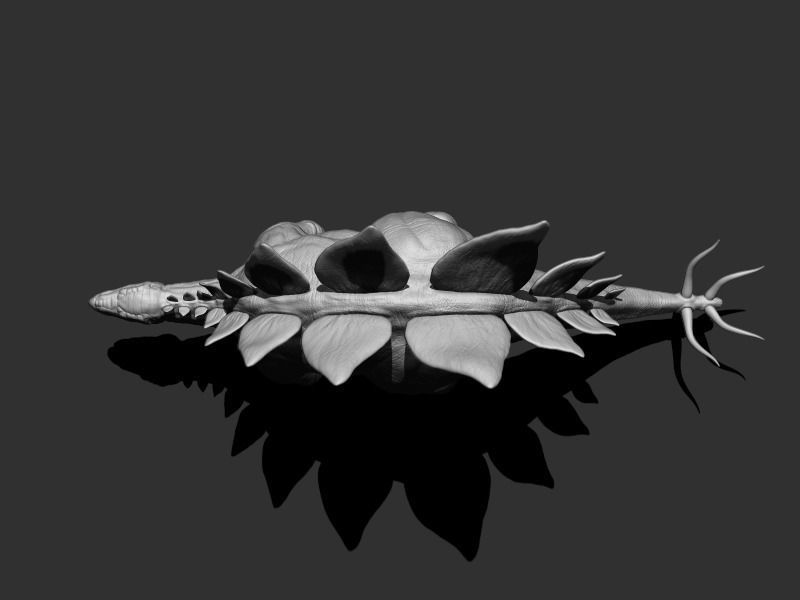 3D model 3D Stego dinosaur VR / AR / low-poly | CGTrader