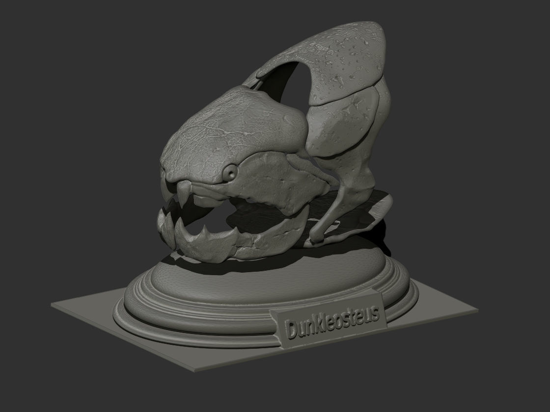 Statue the skull of a prehistoric fish 3D model 3D printable | CGTrader
