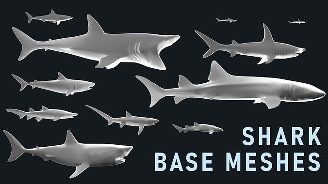 3D model Low-Poly Shark Mesh Collection VR / AR / low-poly | CGTrader