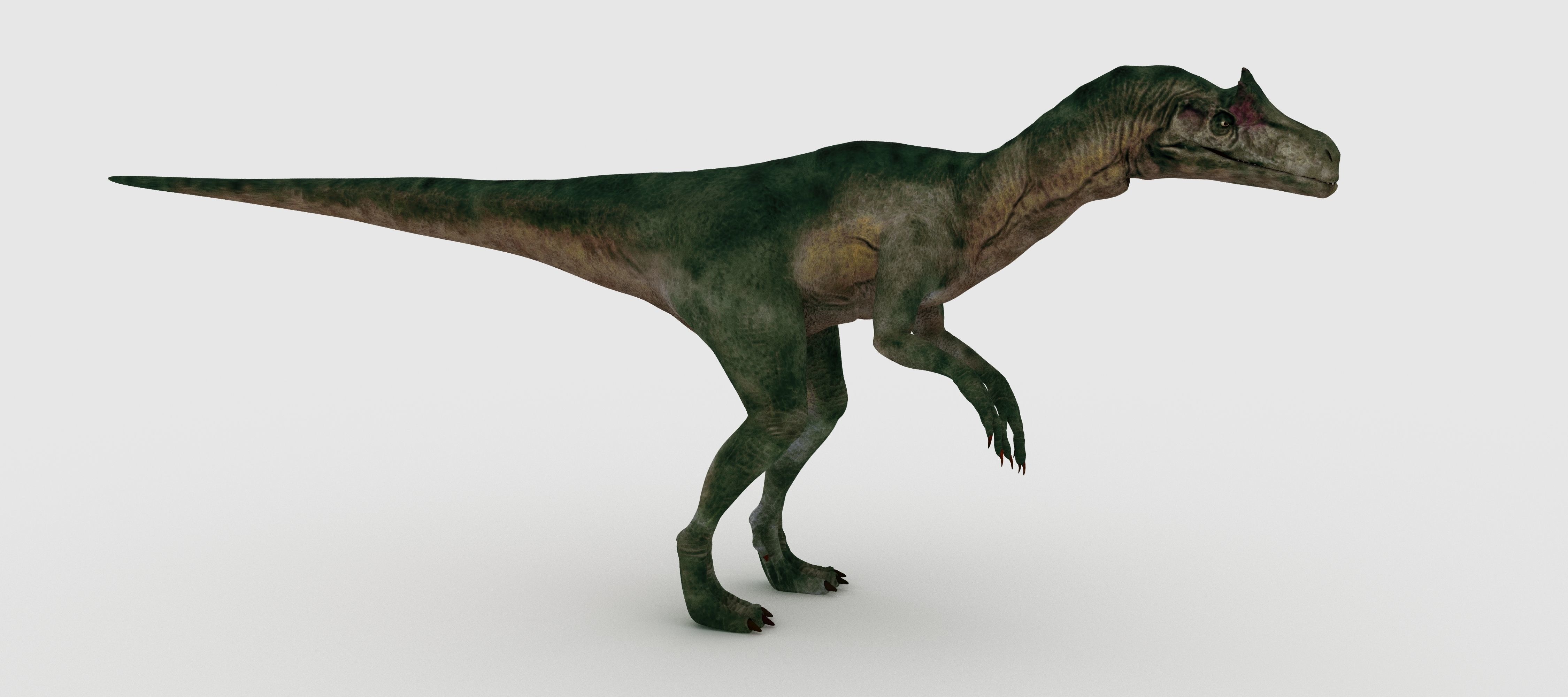 3D model animated Allosaurus dino | CGTrader