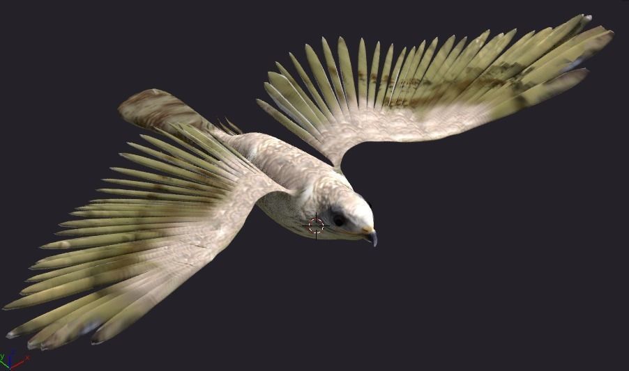 3D model hawk animated VR / AR / low-poly rigged animated | CGTrader