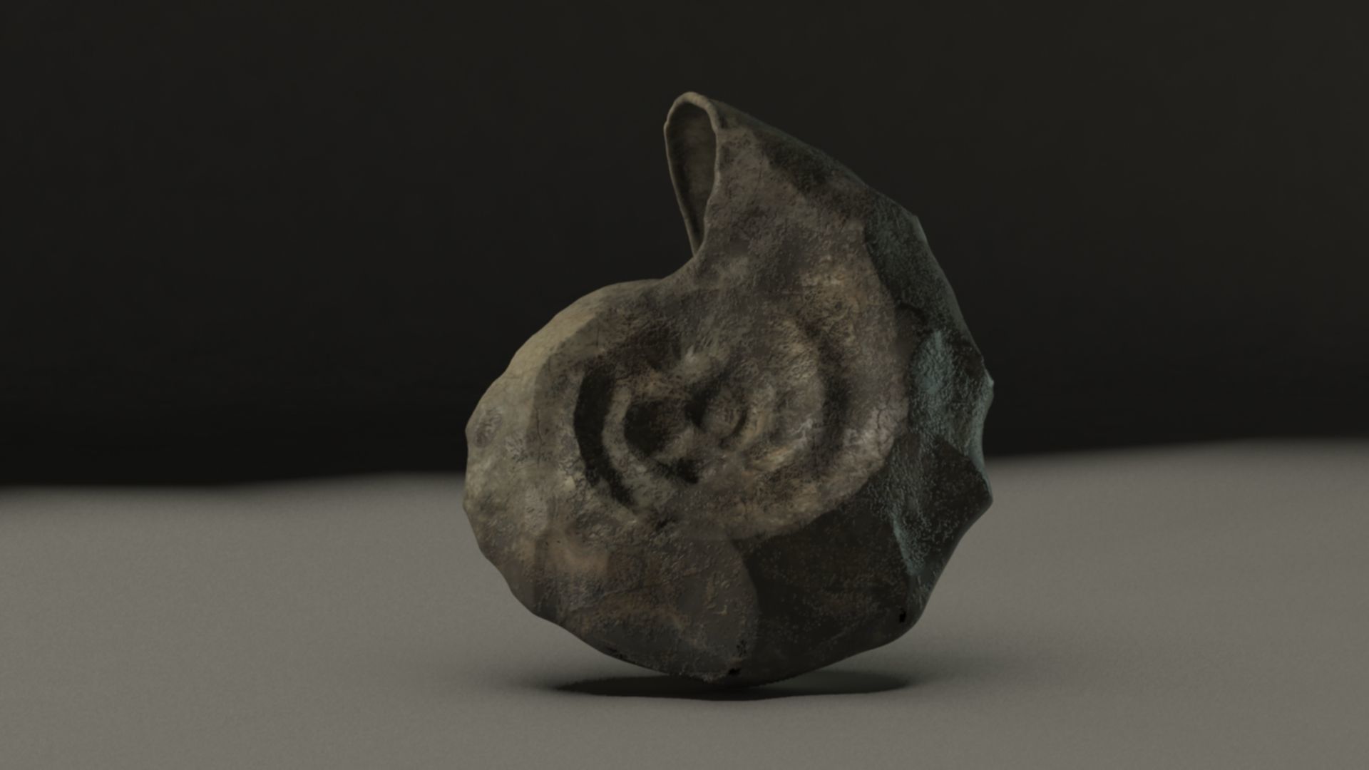 ancient petrified shell 3D model | CGTrader